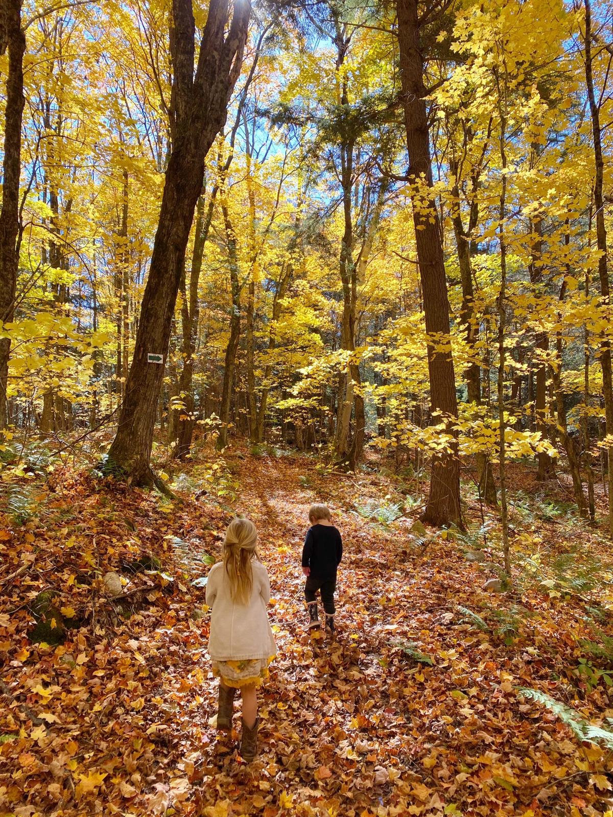 Fall Foliage Tour | Bonnie View Inn