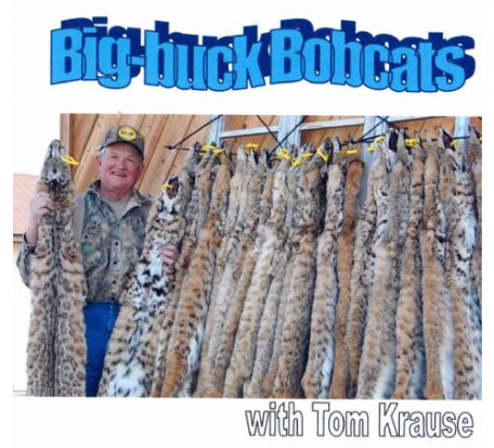 Big Buck Bobcats by Tom Krause DVD | Cumberland Trappers