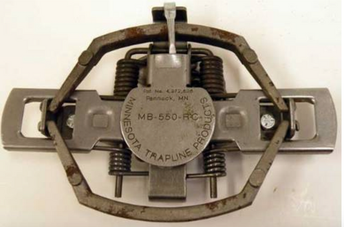 MB 550 4 Coiled Offset Minnesota Brand Trap | Cumberland Trappers