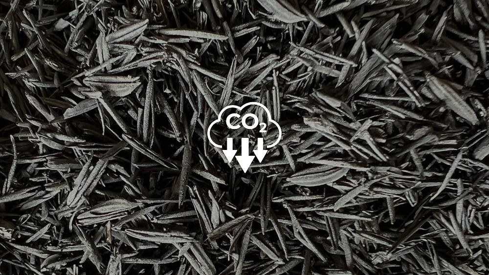 Understanding the Carbon Credits Market and the Role of Biochar in ...