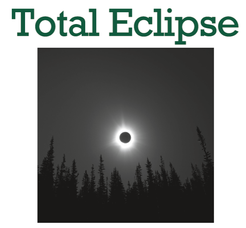 Total Eclipse | greentreecoffee