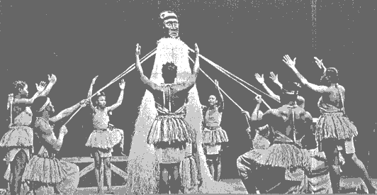 Danza Africana, Percusion, Bailes, Viajes, Wakili
