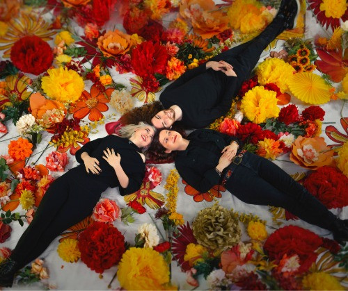 The Accidentals | Official Website