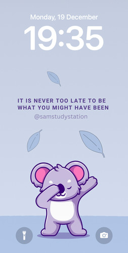 10K Special- Koala Wallpaper | Sam Study Station