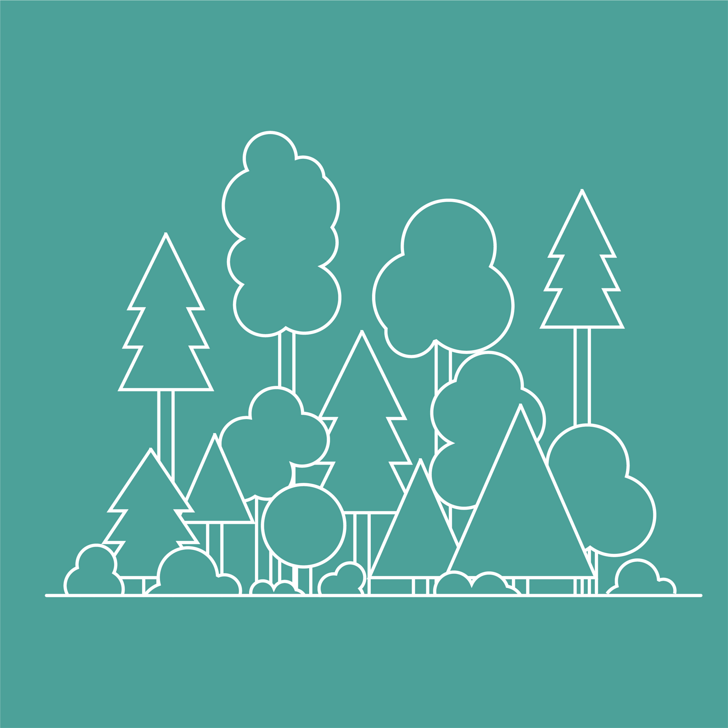 Support Our Response To DEFRA s England Tree Strategy Consultation support-our-response-to-defra-s-england-tree-strategy-consultation