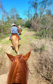 Gallery | Bella Ranch Horseback Riding