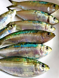 ACTIVITIES | Namohostel