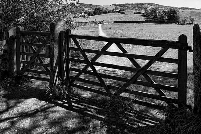 Order field gates online | Timber Direct Ltd | Wrexham