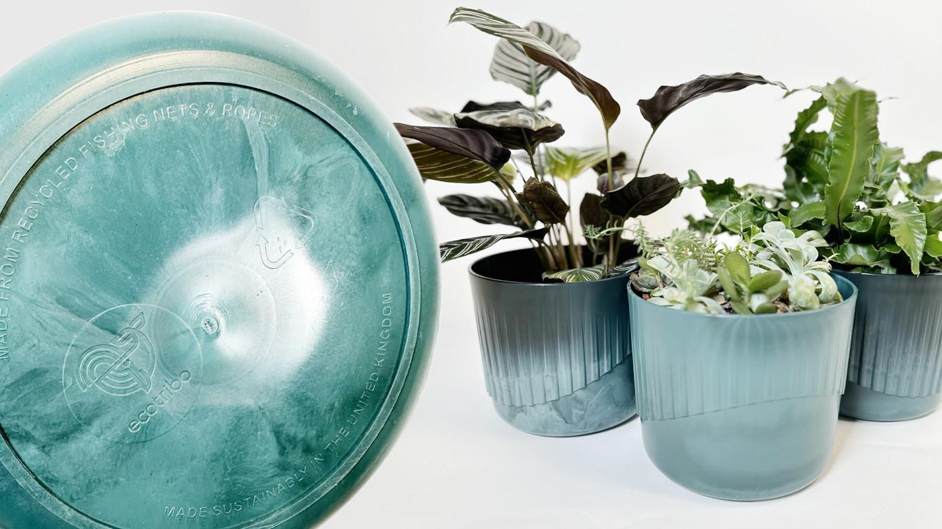 Devon Cornwall CoOp | Ecotribo | Batch 010