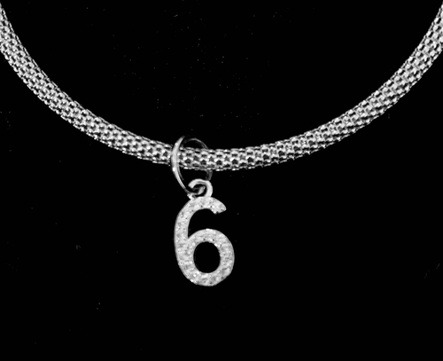 Number 6 Charm | Kiffany & Co.