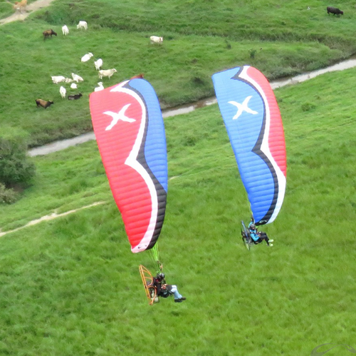 SOL Effect XT | Kangook America