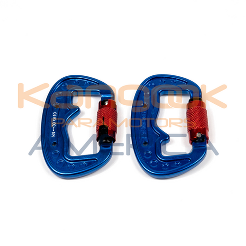 APCO Twist Lock Carabiner – 3 ton - Triple Safety Lock (set of 2 ...
