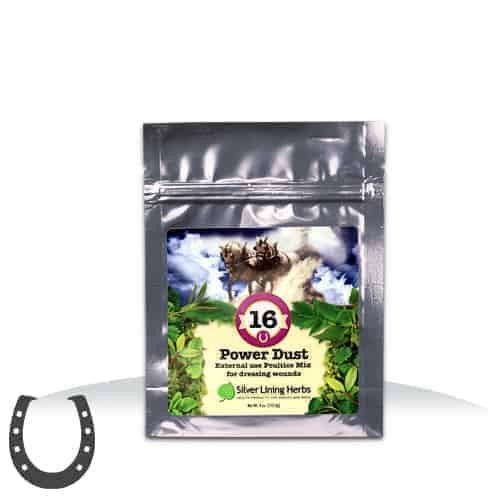#16 Power Dust 1/4 lb. sz. (SilverLiningHerbs) | -campwithhorses-1