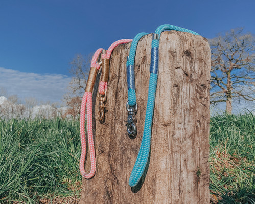 Clip Rope Lead | C&I Collars