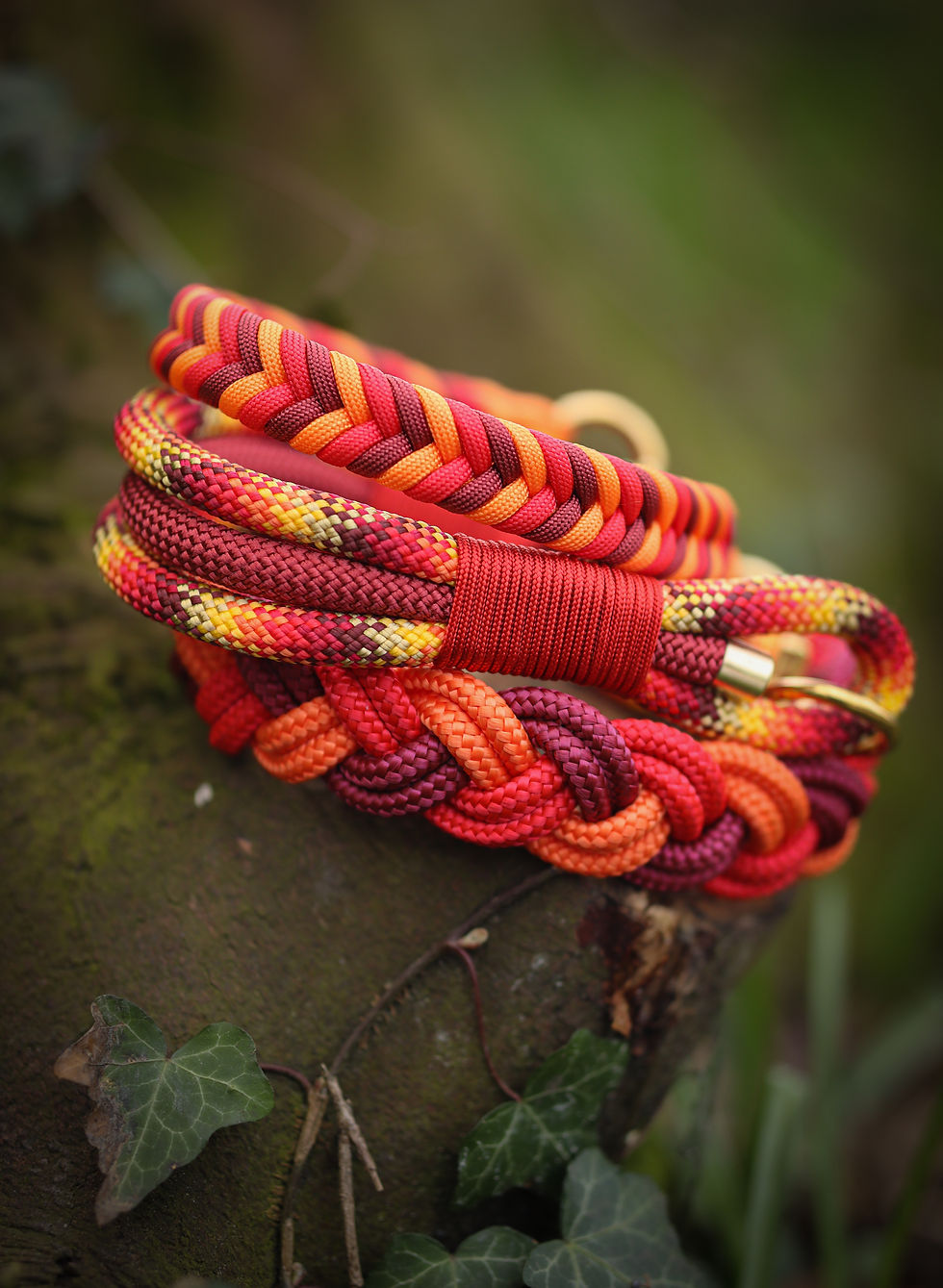 Home | C&I Collars