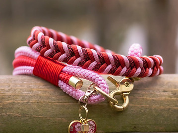 Home | C&I Collars