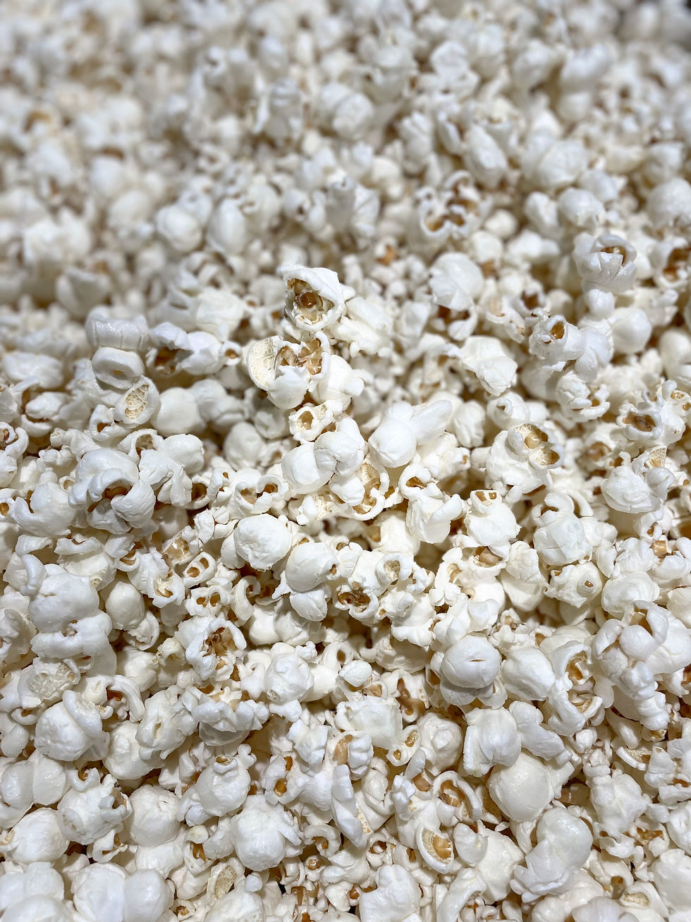 Photo Gallery | Yadkin Valley Popcorn Photo Gallery | Yadkin Valley Popcorn