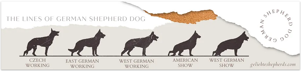 Resources | Macon County German