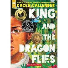 King and the Dragonflies (Scholastic Gold) | sankofa-dc