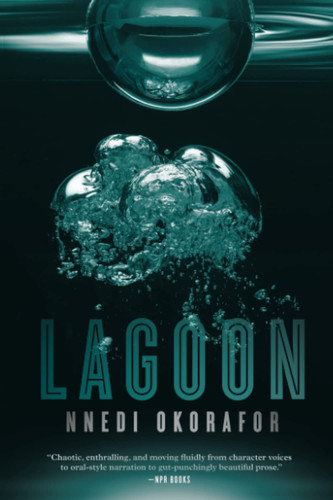 Lagoon | sankofa-dc
