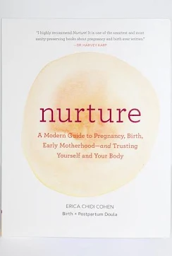 Nurture: A Modern Guide to Pregnancy, Birth, Early Motherhood--And ...