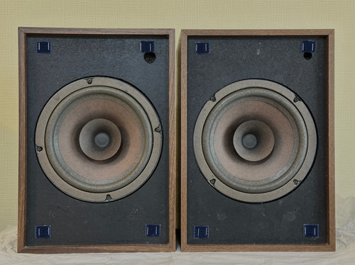 Jensen Model 1 (pair) | T-Ripple.Go