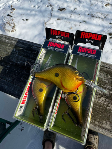 Custom Rapala-GOLD | shop