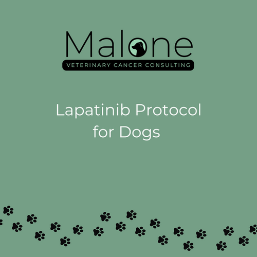 Lapatinib Protocol for Dogs | Malone Vet