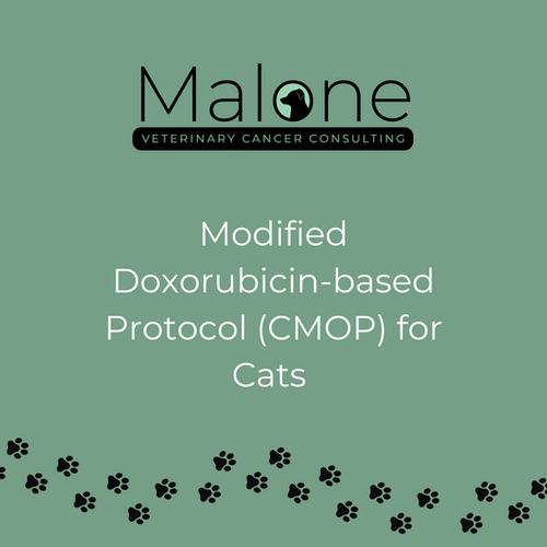 Modified Doxorubicin-based Protocol (CMOP) for Cats with Lymphoma | Malone