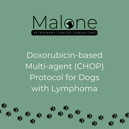 Doxorubicin-based Multi-agent Protocol (CHOP) for Dogs | Malone Vet