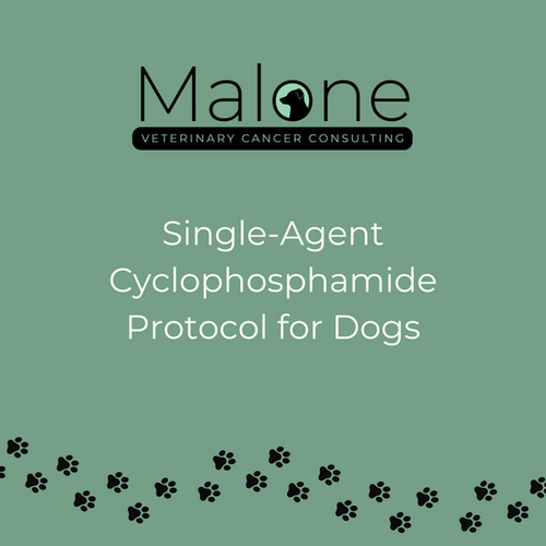 Single-Agent Cyclophosphamide Protocol for Dogs | Malone Vet
