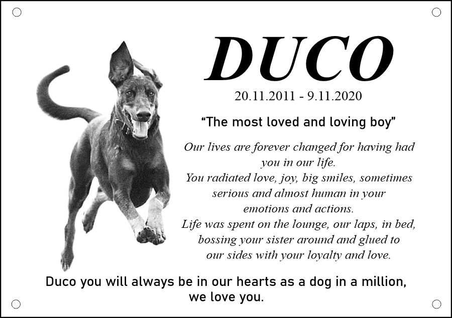 Choosing the Perfect Wording for Memorial Plaques: A Guide by Planet ...