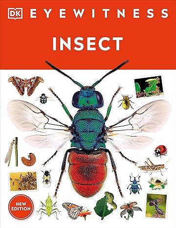 Eyewitness Insect | Amazing Books