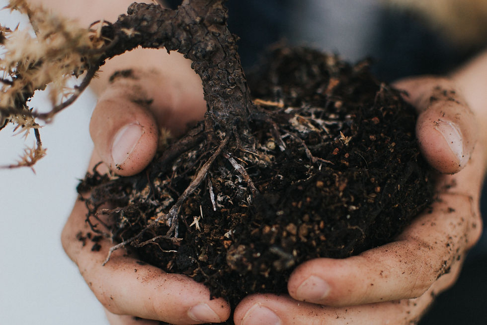 Home | Compost Me
