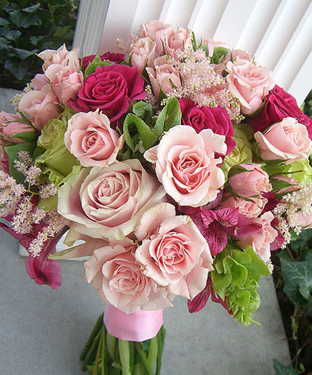 Rosas fiusha - Imagui