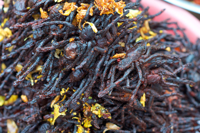 Amazing delicacies: TOP 10 most unusual dishes from around the world