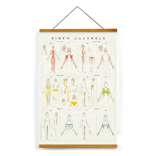 Sinew Channels | Holism Prints