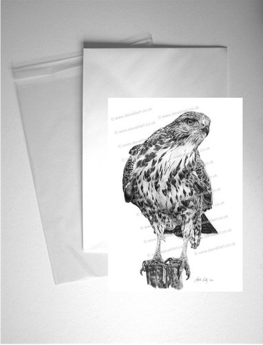 Buzzard - Large Collector's Greetings Card | Stevelilart