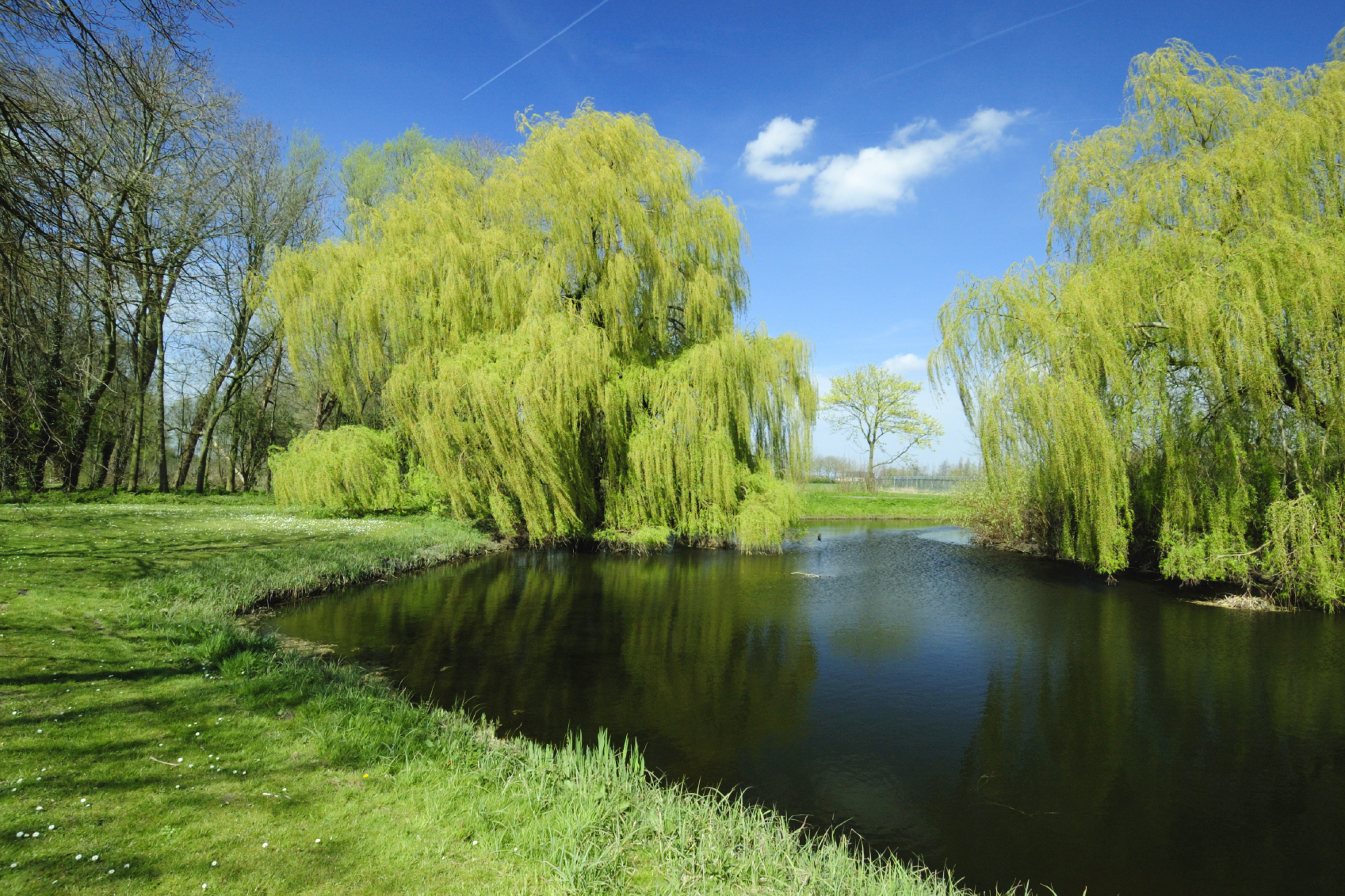 Solar Investments | United Kingdom | Willow Rivers Wealth