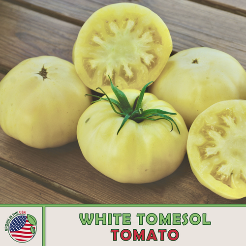 White Tomesol Tomato | Sola Seed Company