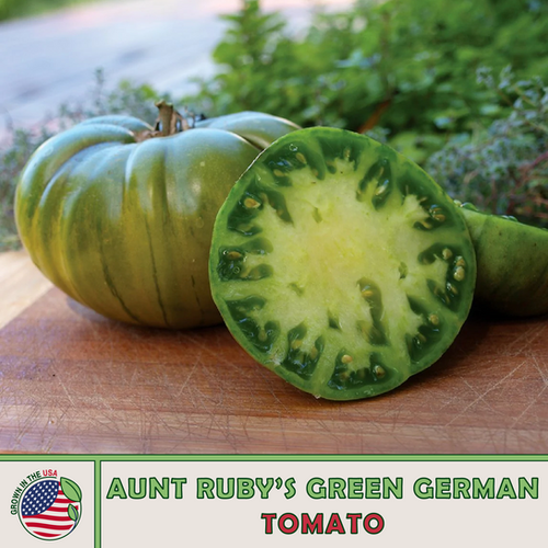 Aunt Ruby's Green German Tomato | Sola Seed Company