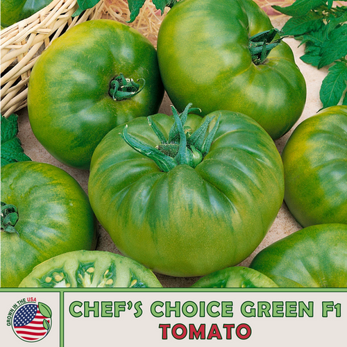 Chef's Choice Green Tomato | Sola Seed Company