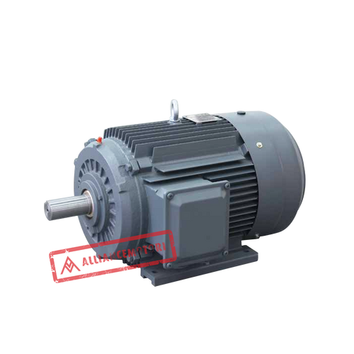 A-YD Series Two-speed Induction Motor | Alliance Motori