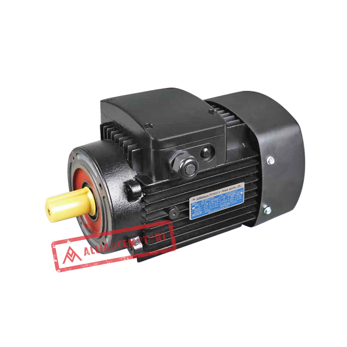 ye2-series-vertical-pump-motor