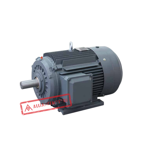 A-YD Series Two-speed Induction Motor | Alliance Motori