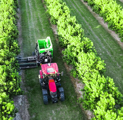 MACADAMIA HARVESTER | Agri-Con Equipment