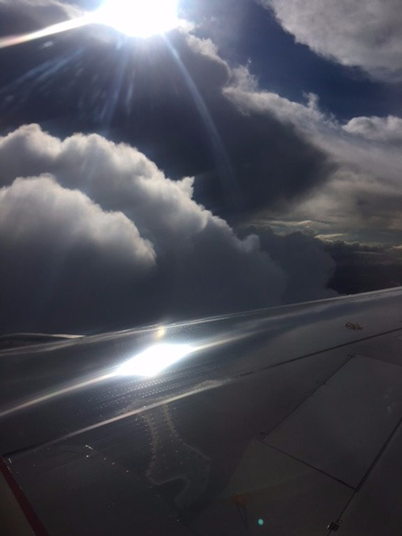 OHBS Surgery - Day 14 (Mon)