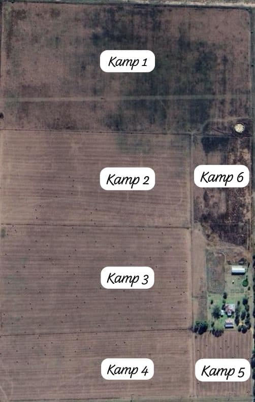 Weiding vir perde beskikbaar | The Go-To Guy