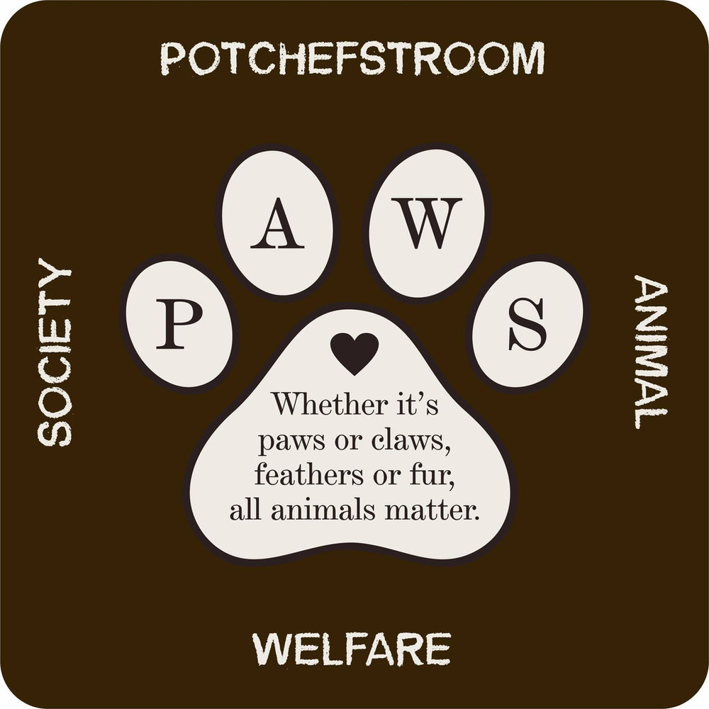 This Is the Season for Giving: PAWS Brings Joy to the Holidays | The Go ...