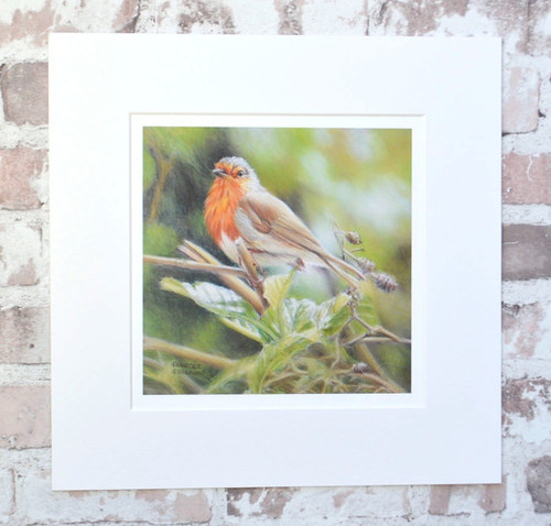 Country Robin Print | Frances Sullivan Art